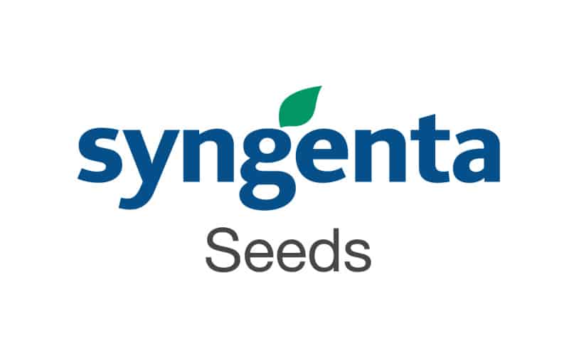 Syngenta Seeds anuncia novas agências de comunicação
