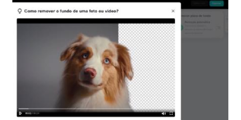 Veja como o editor de vídeo CapCut pode te ajudar a criar vídeos de ...